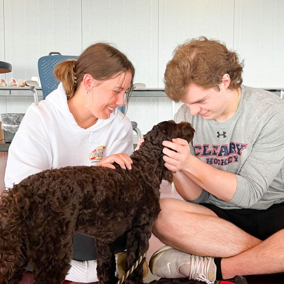 About Cleary University | Ensure Your Career Success